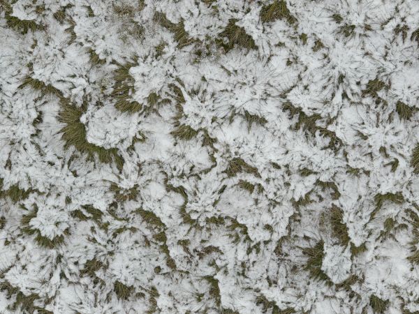 frozen ground texture 0050 - Texturelib